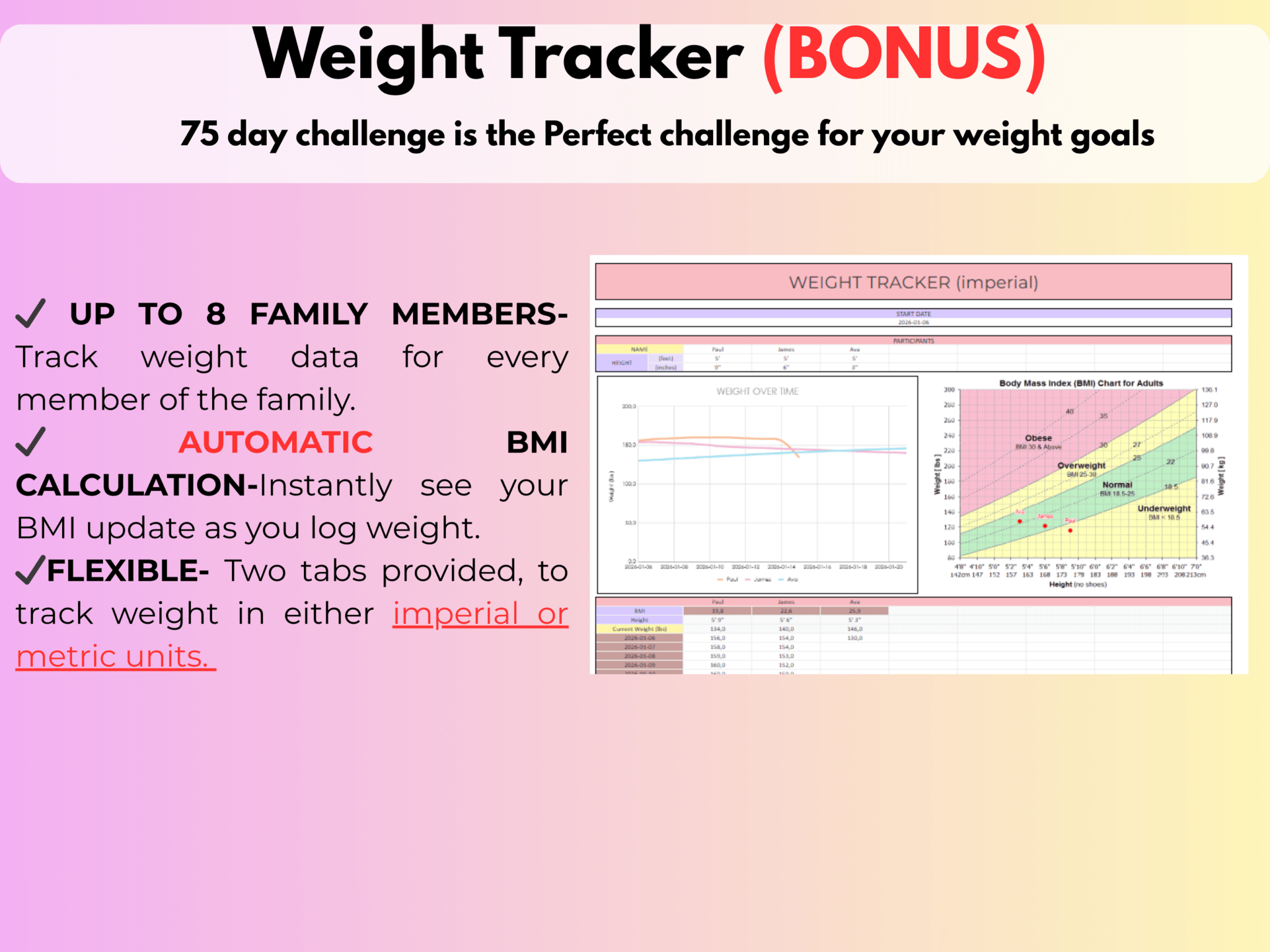 75 Day Challenge Tracker Spreadsheet - Holistic Wellness Quest